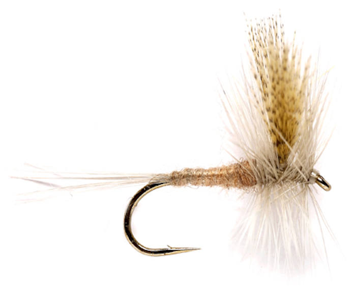 Light Hendrickson Dry Fly ReelFlyRod
